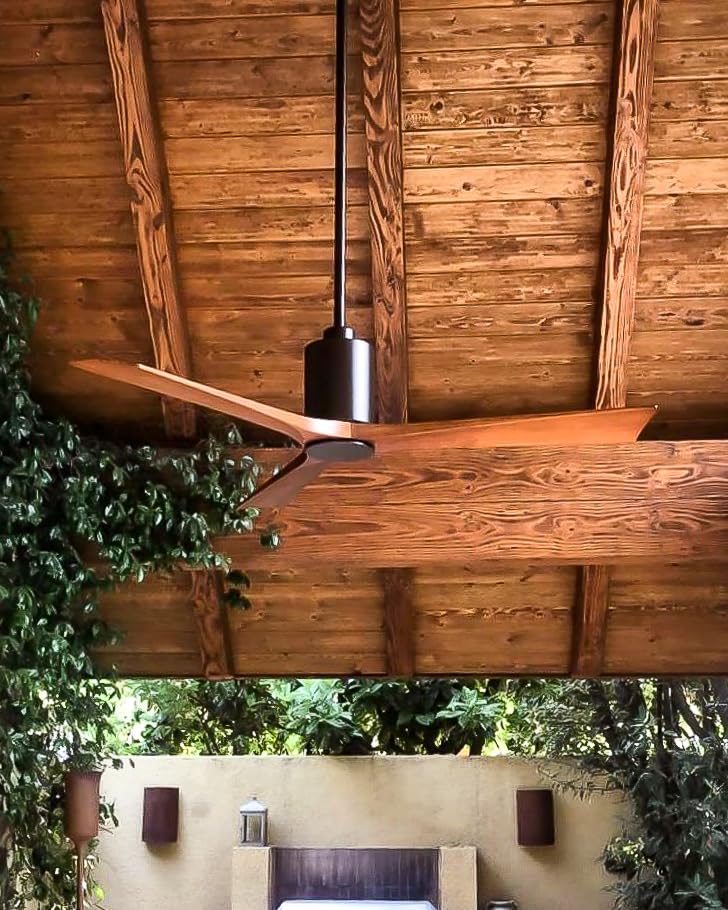 Matthews PA3-BRBR-WA-60 Patricia Indoor/Outdoor Damp Rated 60" Ceiling Fan with LED Light and Remote & Wall Control, 3 Walnut Solid Wood Blades, Brushed Brass