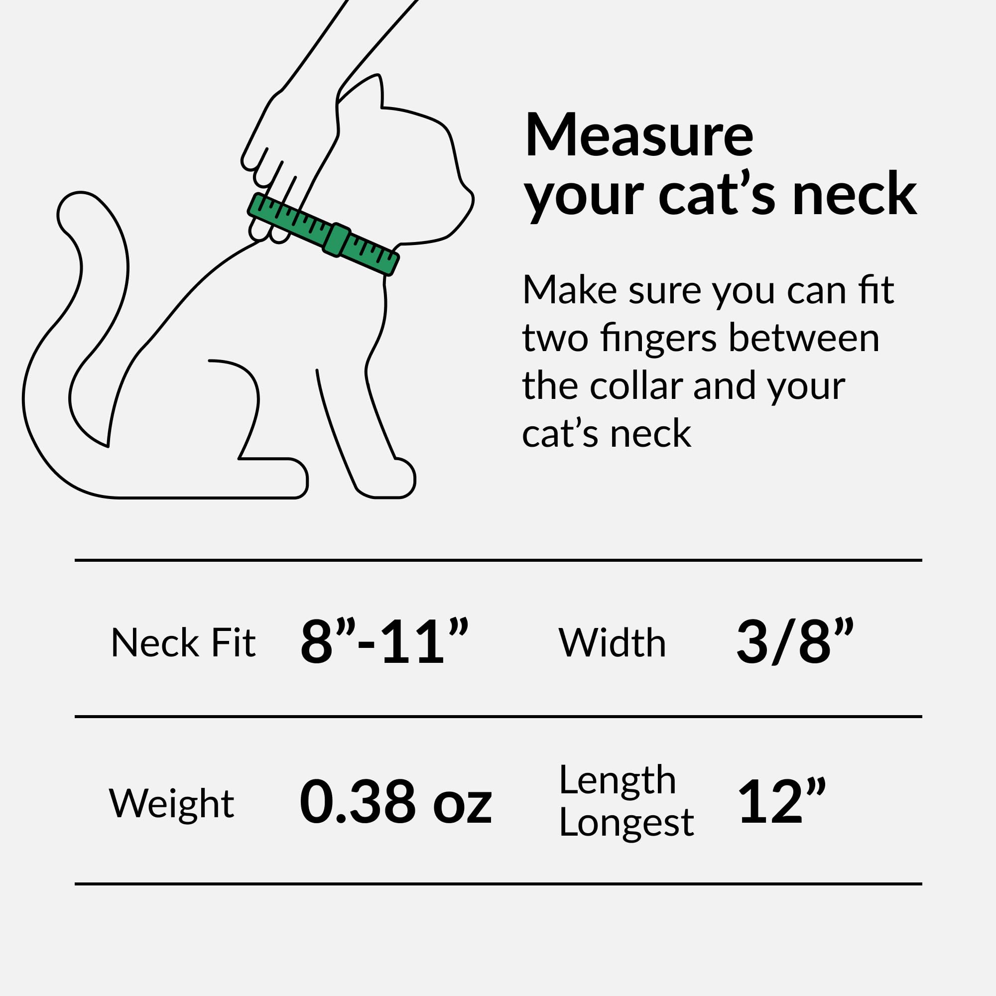 CollarDirect Leather Cat Collar with Bell - Kitten Collar, Small and Big Cat Collar for Boy Cats, Girl Cats with Safety Elastic Strap (Neck Fit 8"-11", Black)