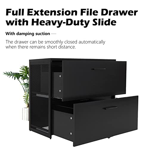 TOPSKY 2 Drawers Wood Lateral File Cabinet for Letter Size/A4/Legal File Full Extension Soft Close Concealed Slide (Black)