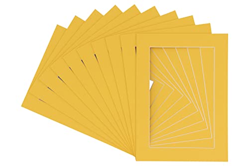 Pack of TEN 6x9 Mats Bevel Cut for 4x5 Photos - Acid Free Chamois Yellow Precut Matboards For Pictures, Photos, Framing - 4-ply Thickness