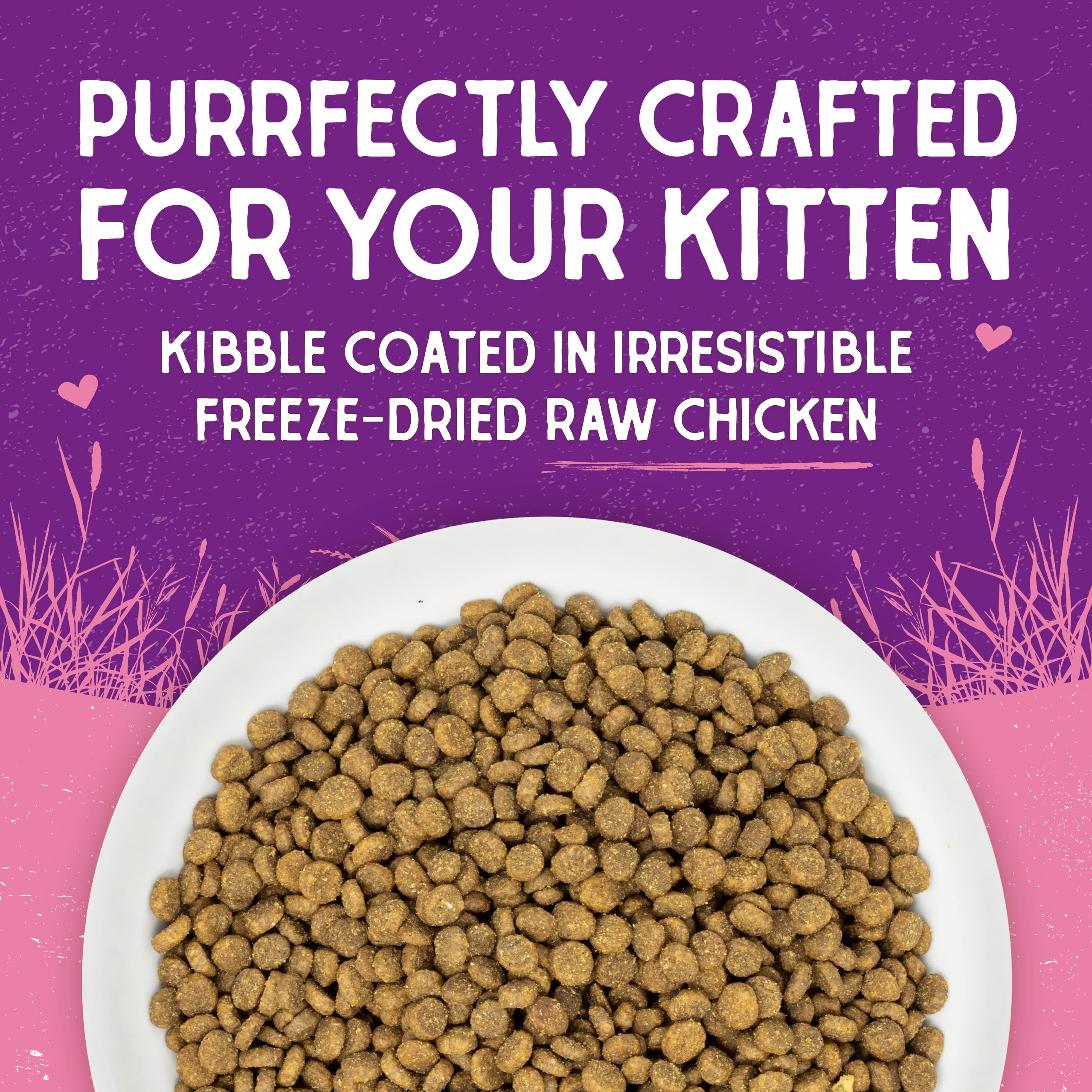 Stella & Chewy's Raw Coated Premium Kibble Cat & Kitten Food – Grain Free, Protein Rich Meals – Cage-Free Chicken for Kittens Recipe – 2.5 lb. Bag