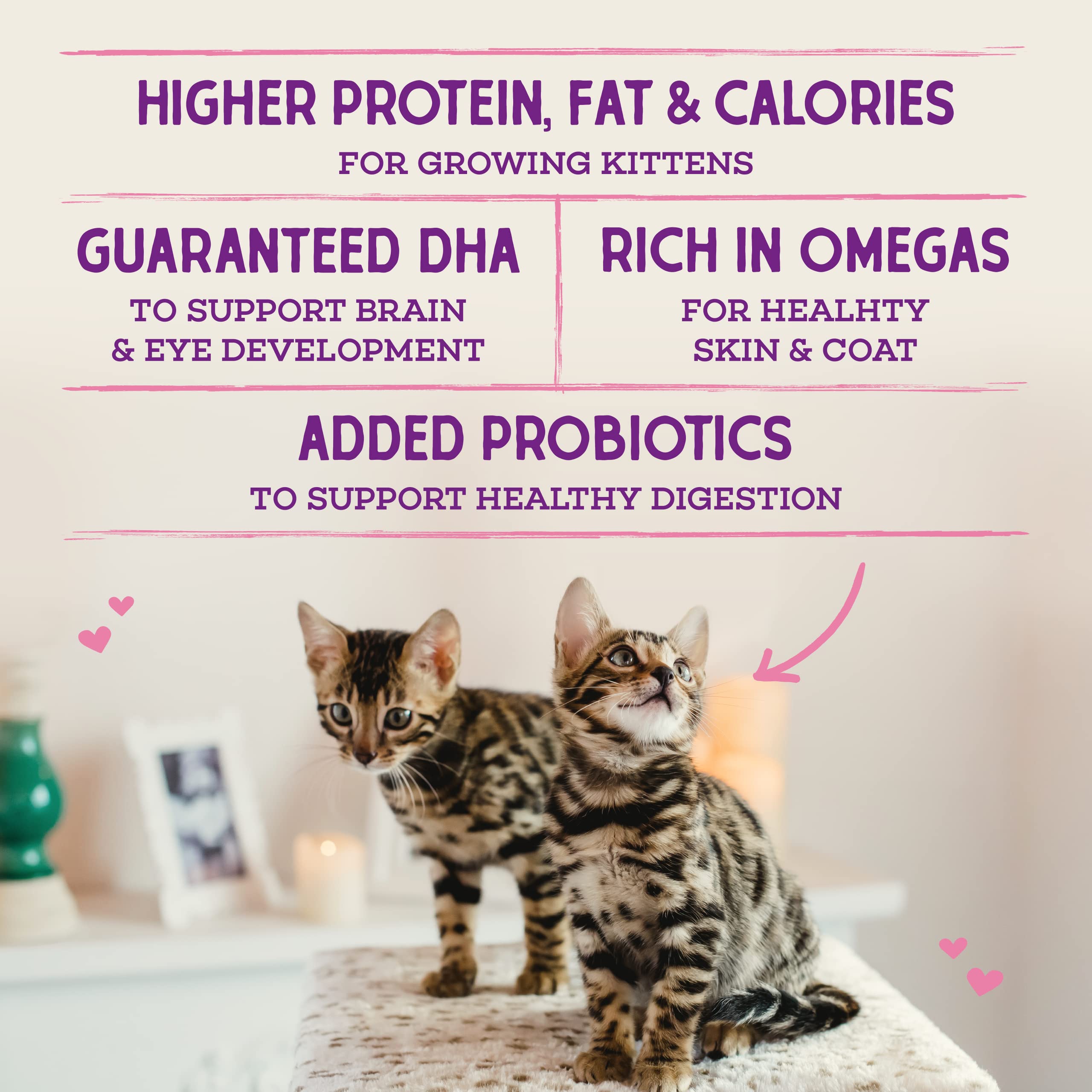 Stella & Chewy's Raw Coated Premium Kibble Cat & Kitten Food – Grain Free, Protein Rich Meals – Cage-Free Chicken for Kittens Recipe – 2.5 lb. Bag