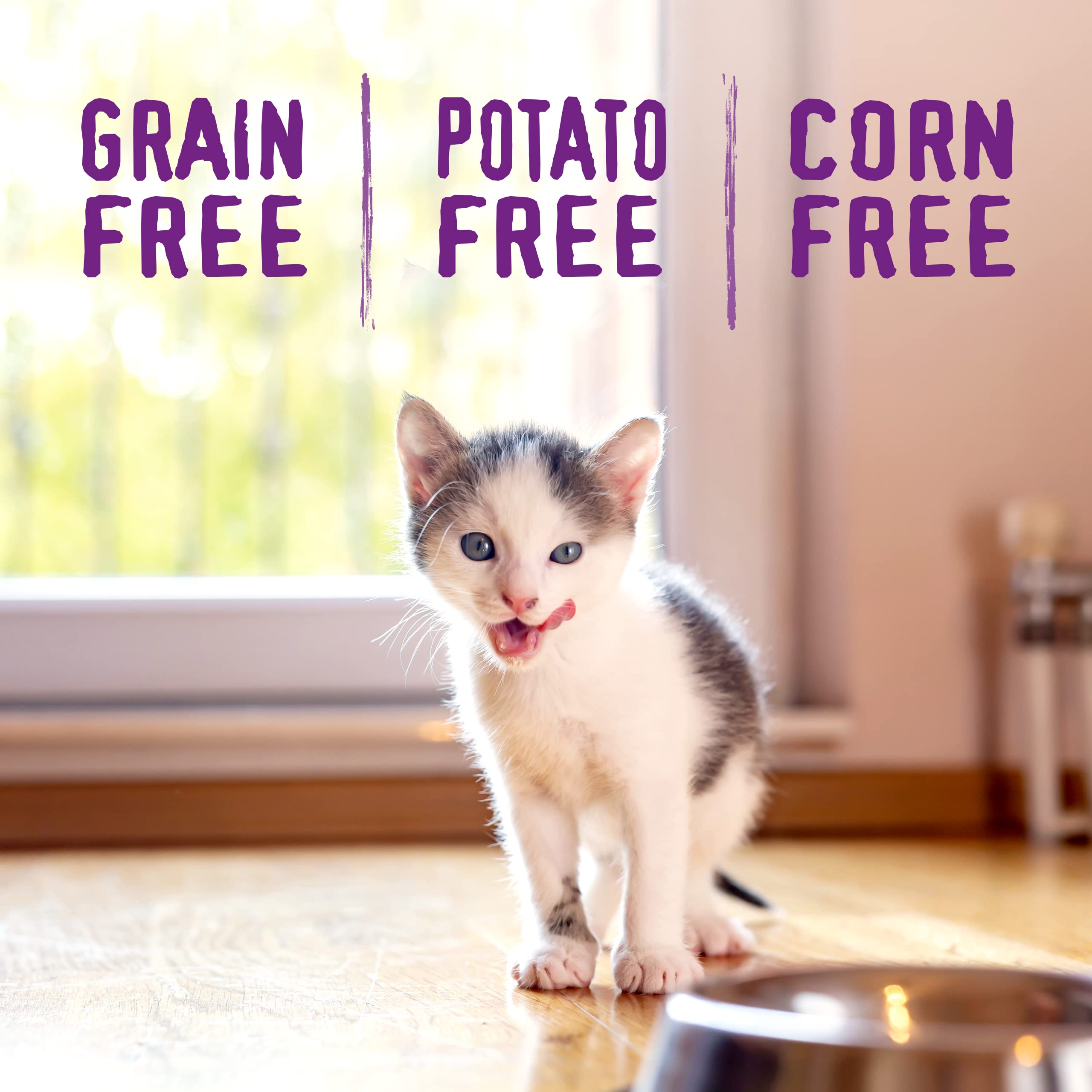 Stella & Chewy's Raw Coated Premium Kibble Cat & Kitten Food – Grain Free, Protein Rich Meals – Cage-Free Chicken for Kittens Recipe – 2.5 lb. Bag