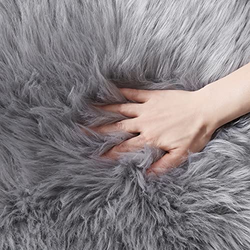 Rainlin Ultra Soft Fluffy Faux Fur Area Rugs for Bedroom Living Room Grey Fuzzy Washable Home Decor Carpets Luxury Plush Shag Rectangular Rugs,3x5 Feet