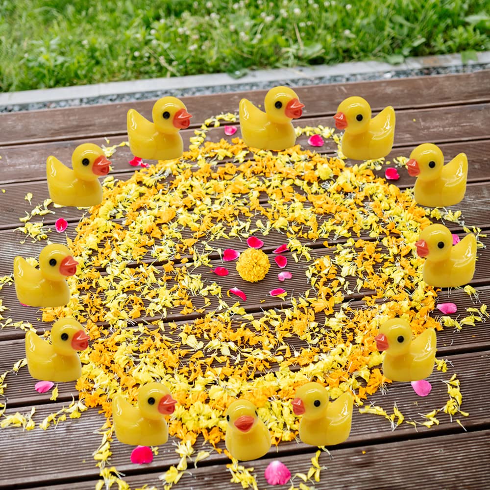 AWEELON 100 Pcs Mini Resin Ducks Tiny Ducks Miniature Duck Figures for Slime Charms DIY Craft Micro Landscape Garden Aquarium Dollhouse Decoration for Christmas Birthday Party