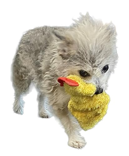 Chicken and Egg Crinkle Squeaker Pack Fun Durable Interactive Fetch Toys for Puppies Dogs Small Amimals