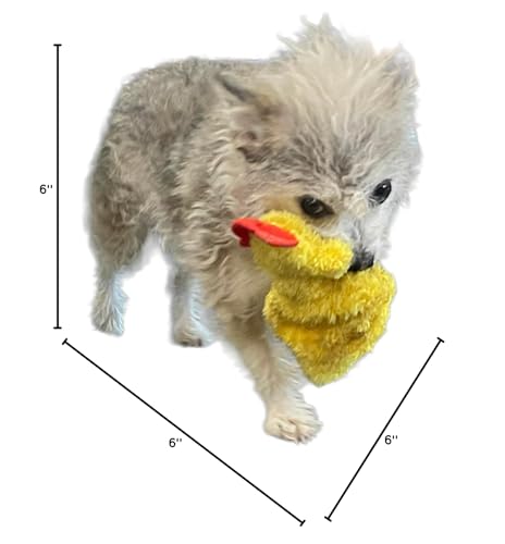Chicken and Egg Crinkle Squeaker Pack Fun Durable Interactive Fetch Toys for Puppies Dogs Small Amimals