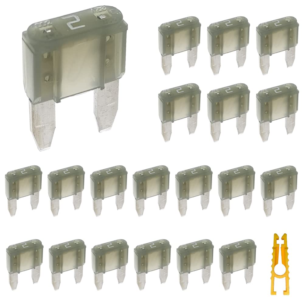 Yoiilnz 20pcs Mini Blade Fuse and 1 Fuse Puller 2A 32V Fast Blow for Replacement Fuses for Car/RV/Truck/Motorcycle/Boat (Mini 2 Amp)