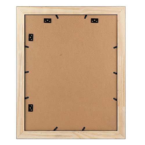 Golden State Art, 16x20 Picture Frame - Displays 11x14 Photo with Mat or 16x20 Without Mat, Wide Moulding Solid Wood Frame for Wall Display, Black