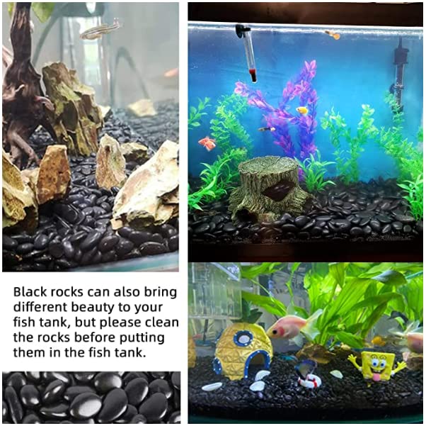 NMEINV 2 lb Natural Decorative Black Pebbles - Decorative River Rocks for Bamboo Plants, Fish Tank, Vase Fillers and Fairy Garden(1 to 2 Inch).