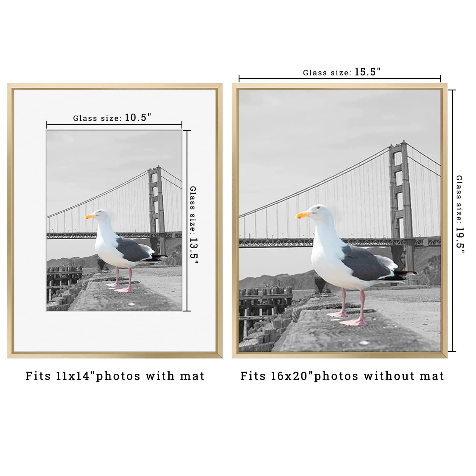 Frametory, 16x20 Metal Picture Frame with Mat for 11x14 Picture & Real Glass, Aluminum Photo Frame Collection (Gold, 2 Pack)