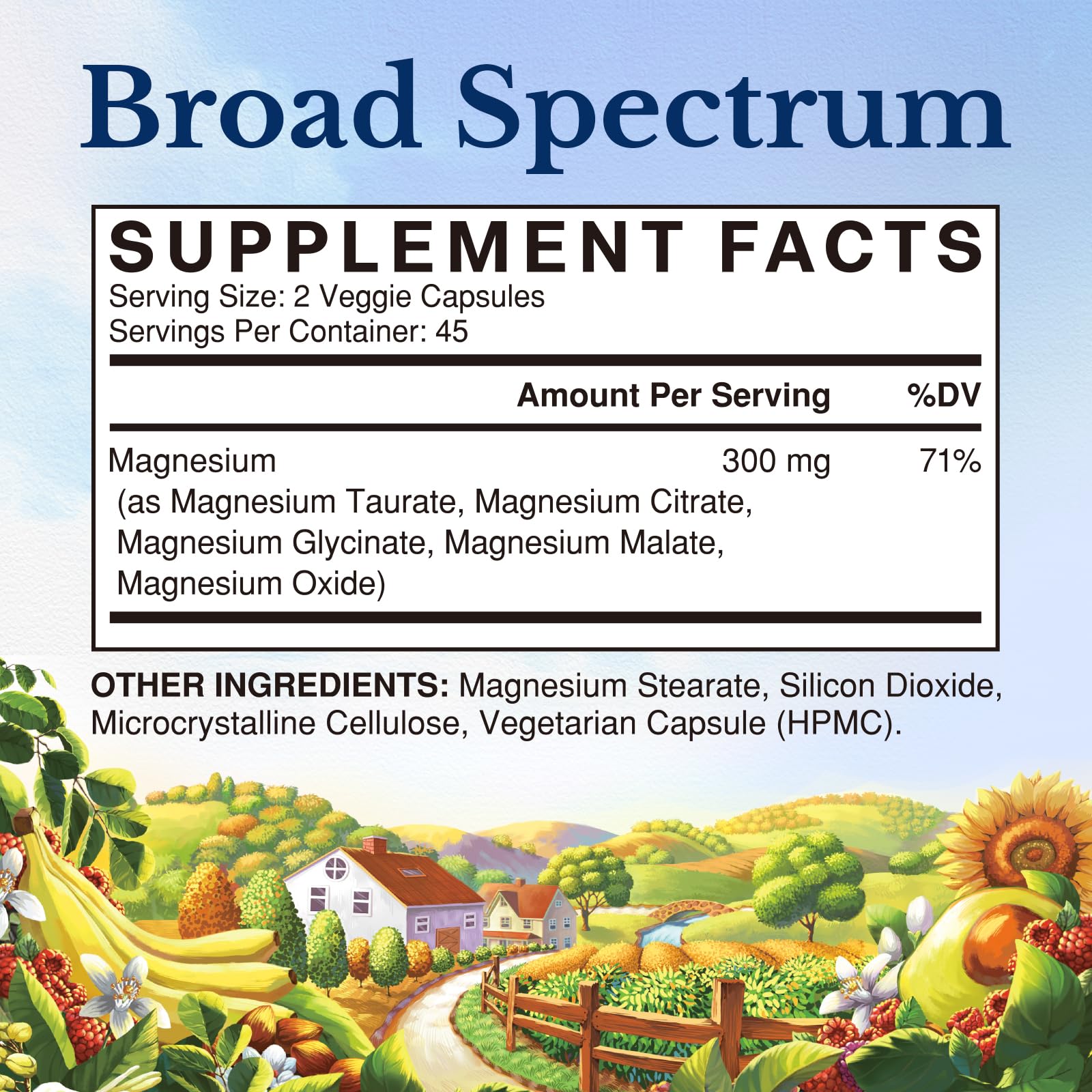Vitalitown Magnesium Complex Supplement | 300mg Elemental Magnesium | Magnesium Citrate Glycinate Taurate Malate | Non-GMO, No Gluten, 90 Vegan Magnesium Capsules for Bone Muscle Brain Heart