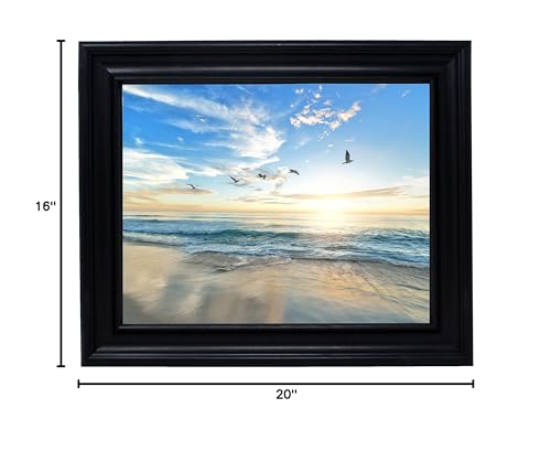 Smashed Banana 16x20 Black Museum Gallery Picture Frame - Extra Wide Curved Molding - Display Photos Posters or Artwork - Premium Designer Profile