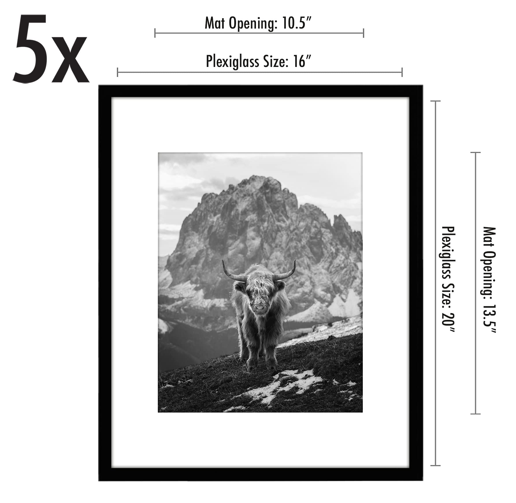 Americanflat 16x20 Picture Frame with Polished Plexiglass - Set of 5 - Use as 11x14 Frame with Mat or 16x20 Frame Without Mat - Galleria Collection - Gallery Wall Frame Set for Wall Display - Black