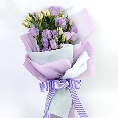 Korean Style Flower Wrapping Paper Floral Bouquet Gift Packaging Supplies Multi Colors 20 Counts (Pale Blue)