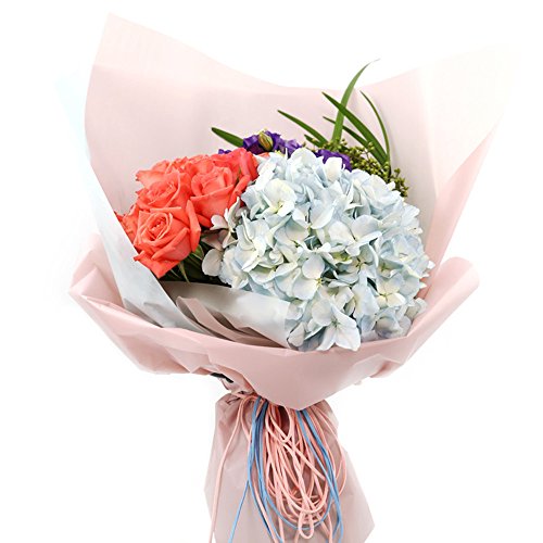 Korean Style Flower Wrapping Paper Floral Bouquet Gift Packaging Supplies Multi Colors 20 Counts (Pale Blue)