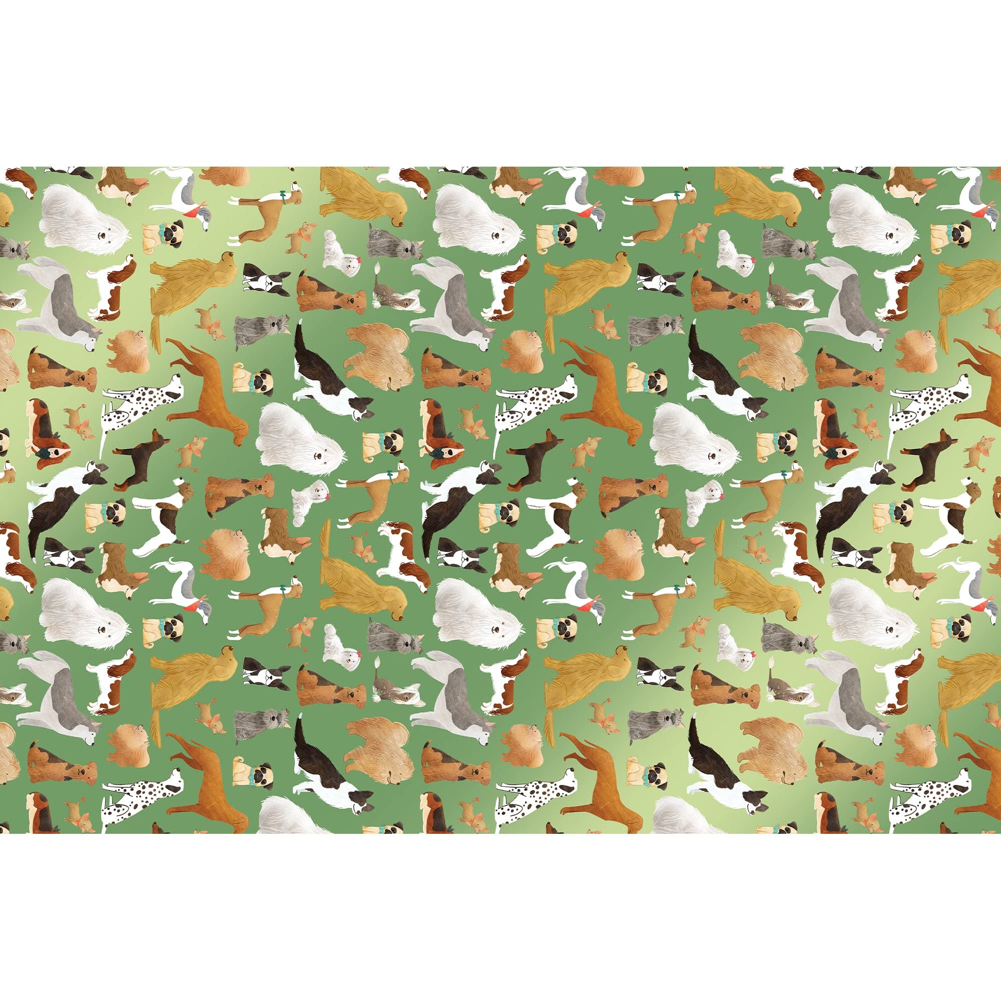 Jillson & Roberts 20" x 30" Printed Gift Tissue for Birthdays, Wine Bags, Weddings, Best in The Show Green, 24 Folded Sheets