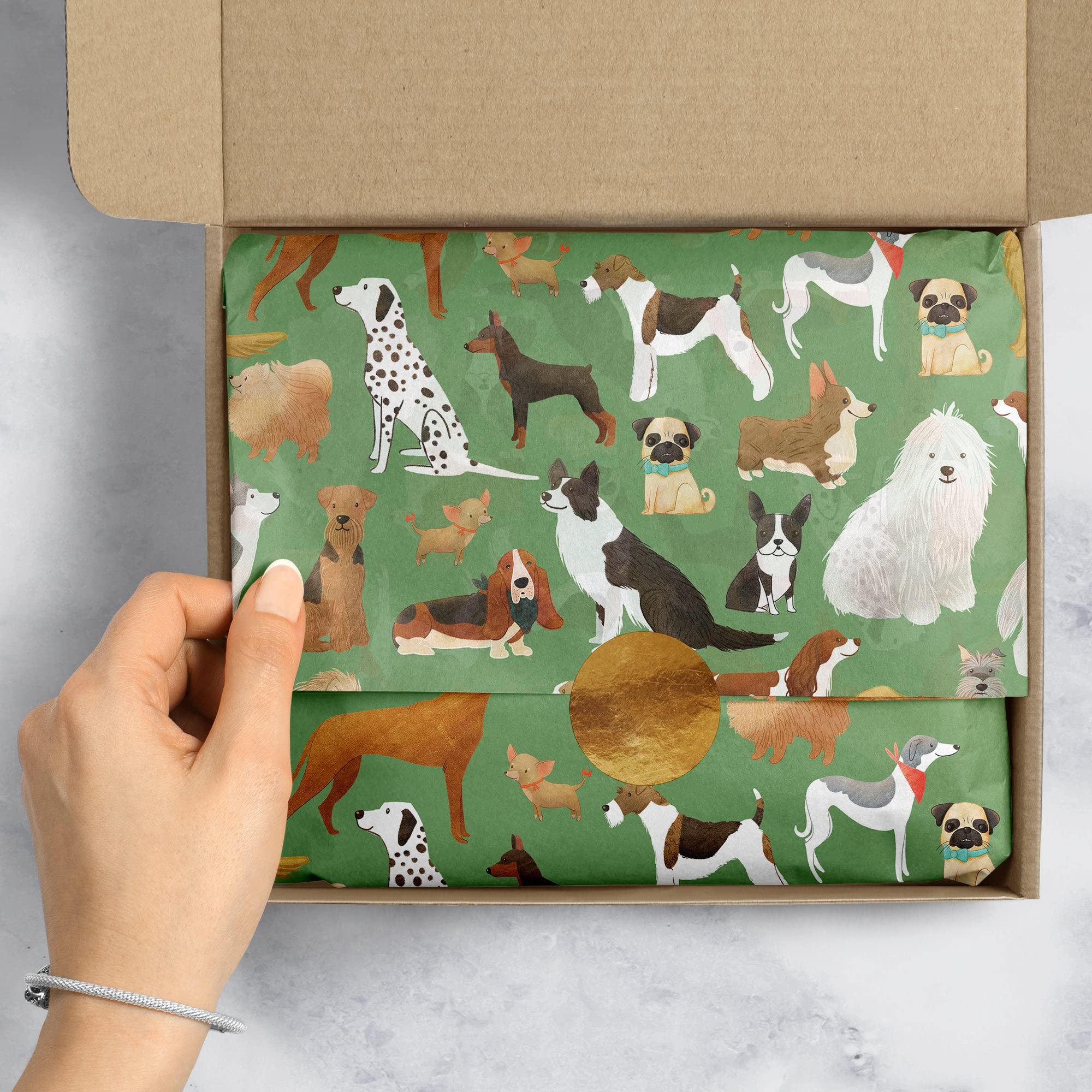 Jillson & Roberts 20" x 30" Printed Gift Tissue for Birthdays, Wine Bags, Weddings, Best in The Show Green, 24 Folded Sheets