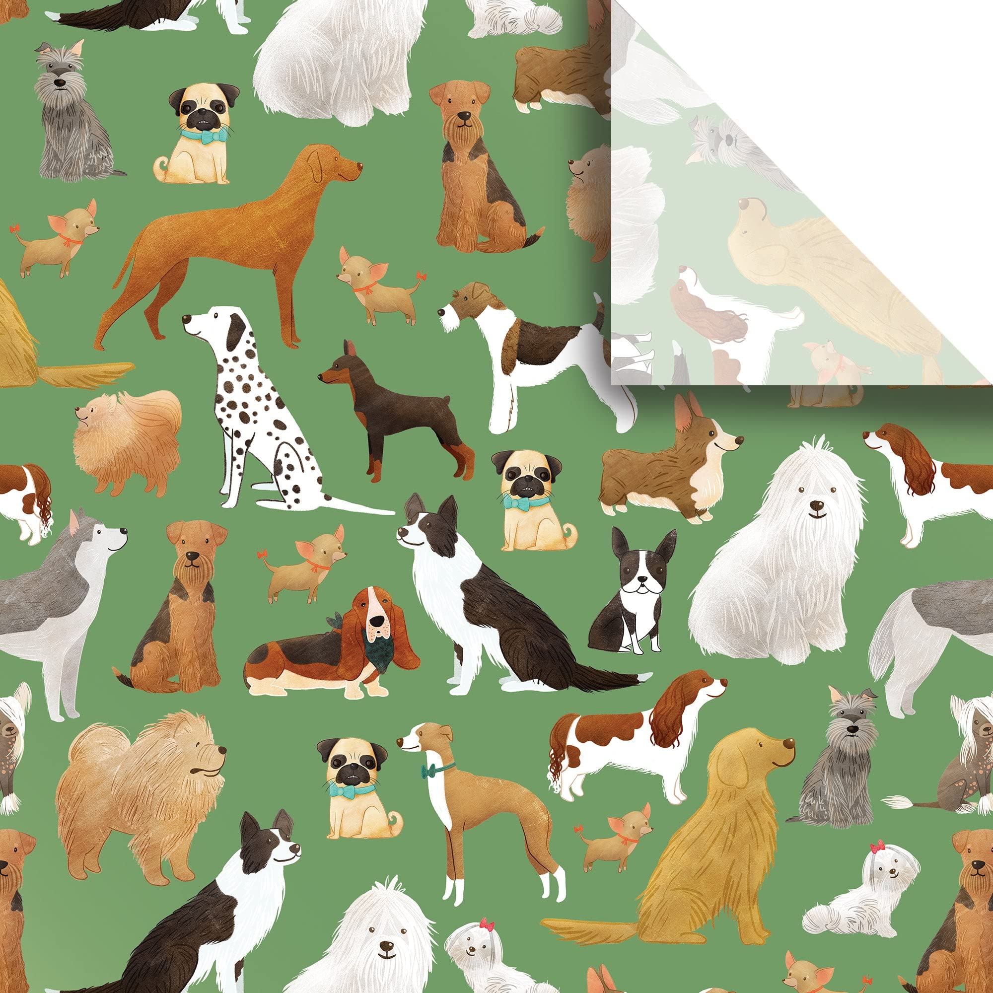 Jillson & Roberts 20" x 30" Printed Gift Tissue for Birthdays, Wine Bags, Weddings, Best in The Show Green, 24 Folded Sheets
