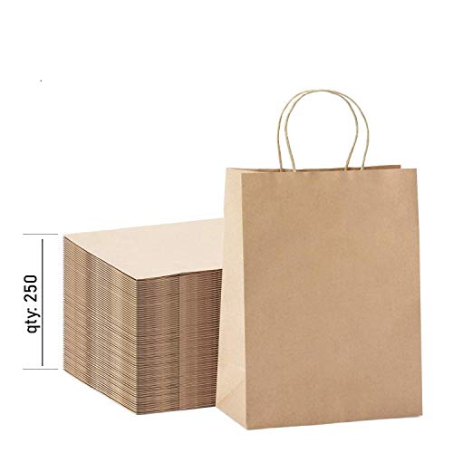 [250 Pack] Heavy Duty 10x13 Kraft Paper Bags 250 pc 10x5x13 Kraft Paper Bags Brown Paper Bags Brown Gift Bags Kraft Shopping Bags Kraft Retail Bags Paper Gift Recycled Paper Bags Kraft Paper Bags with Handles Bulk