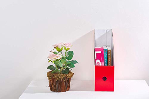 Magazine File Holder, Folder Holder, Magazine Organizer, Book Bins, Set of 6, Multi-Color