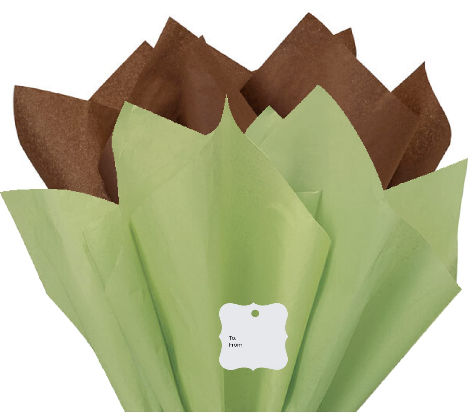 Celebrate Next Brown and Sage Mix Gift Wrap Pom Pom Tissue Paper Mix with 12 to from Gift Tags - 100 Sheets