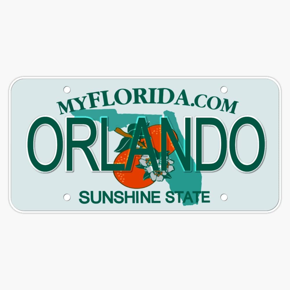 Vision Signs Orlando Florida License Plate Sticker Bumper Sticker Vinyl Decal 5''