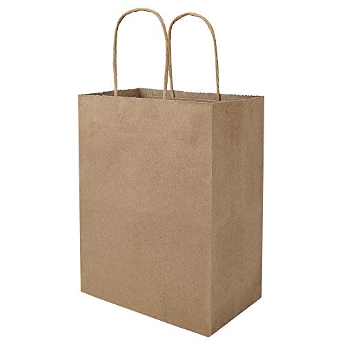 bagmad 100 Pack 8x4.75x10 inch Plain Medium Paper Bags with Handles Bulk, Brown Kraft Bags, Craft Gift Bags, Grocery Shopping Retail Bags, Birthday Party Favors Wedding Bags Sacks
