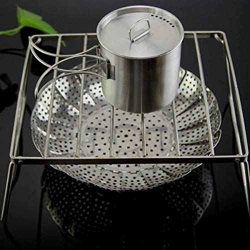 FBWSM Portable Camping Grill Mini Stainless Steel BBQ Grill Folding Compact Barbeque Grill for Picnics, Backpacking, Backyards, -17 * 15.5 * 9.5cm