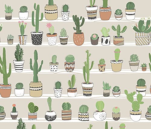 Stesha Party Cactus Wrapping Paper Plant Lover Gift - Folded Flat 30 x 20 Inch - 3 Sheets