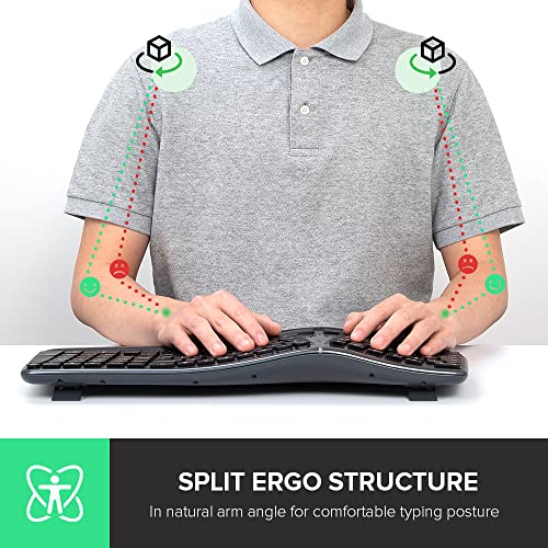 DeLUX Wireless Ergonomic Keyboard with Cushioned Palm Rest Against Carpal Tunnel, Ergo Split, Multi-Device Connection, Compatible with Windows, Mac OS (GM901D-Black)