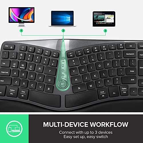 DeLUX Wireless Ergonomic Keyboard with Cushioned Palm Rest Against Carpal Tunnel, Ergo Split, Multi-Device Connection, Compatible with Windows, Mac OS (GM901D-Black)