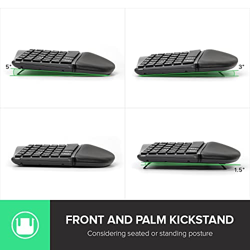 DeLUX Wireless Ergonomic Keyboard with Cushioned Palm Rest Against Carpal Tunnel, Ergo Split, Multi-Device Connection, Compatible with Windows, Mac OS (GM901D-Black)