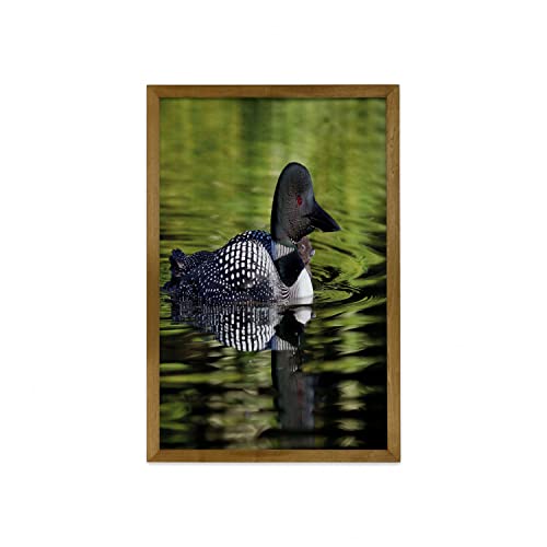 Ambesonne Loon Framed Wall Art, Waterbird Swimming in a Lake in Spring Outdoor Scene, Fabric Poster with Walnut Tone Wood Frame Home Dorm Decor, 23" x 35", Green Dark Grey