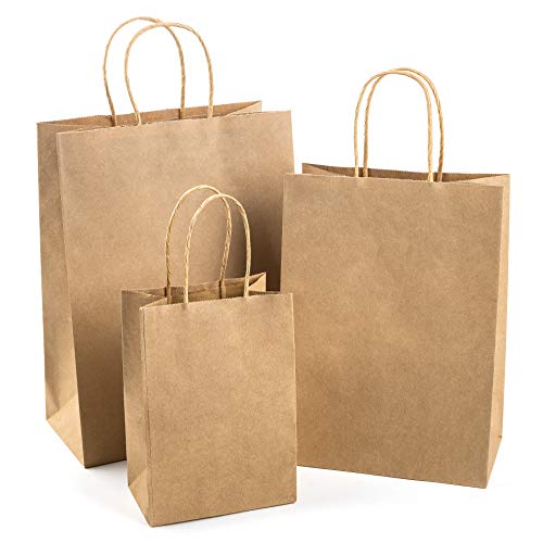 WDC Brown paper bags with handles bulk, 75 craft bags, 25 each (large, medium & small). Plain paper bags great for shopping, gift bag with assorted sizes