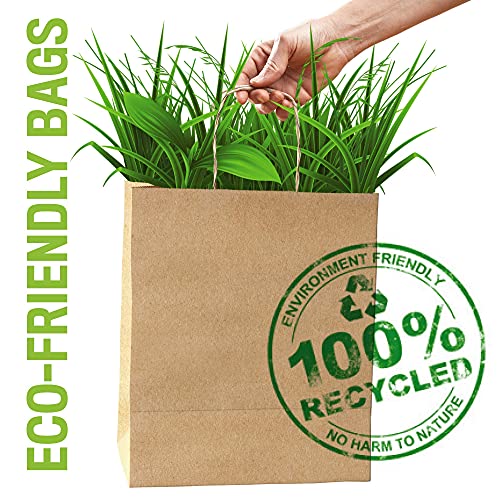 WDC Brown paper bags with handles bulk, 75 craft bags, 25 each (large, medium & small). Plain paper bags great for shopping, gift bag with assorted sizes