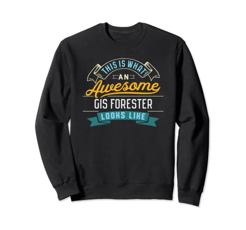 Funny GIS Forester Shirt Awesome Job Occupation Graduation Sweatshirt