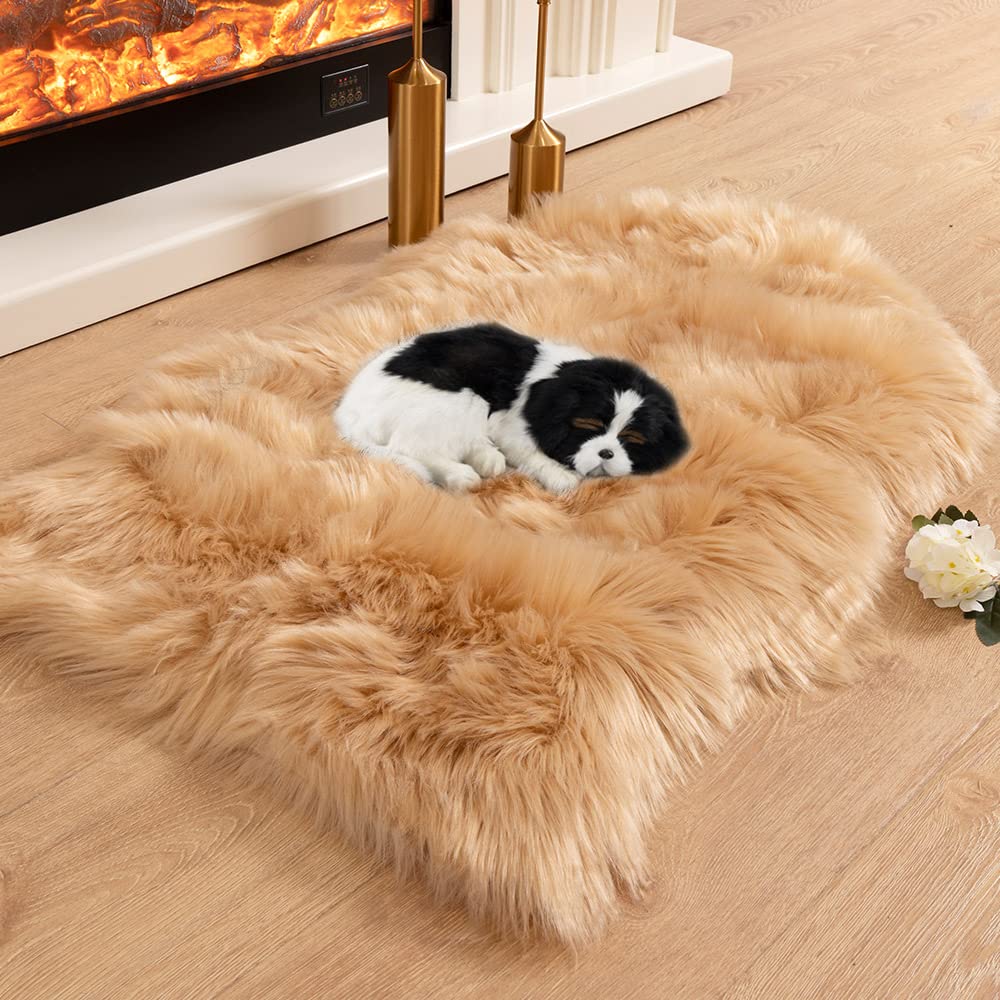Asrug Faux Fur Pet Mat Ultra Cozy Throw Rug, Luxury Soft Faux Sheepskin Chair Cover Seat Pad Shag Fur Area Rugs, 24 by 36 inches (Khaki)