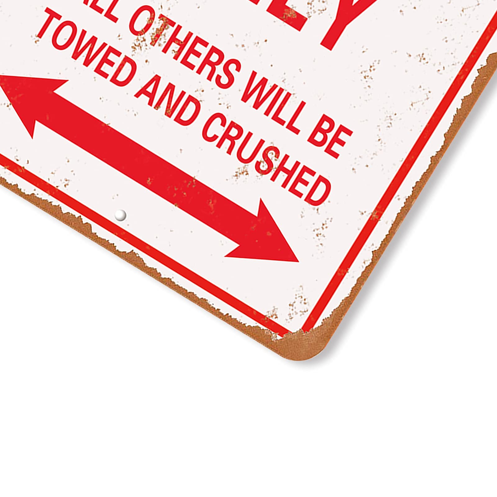TCHPAX 12X8 - SUA Parking only vintage look funny mental tin sign-inches-Aluminum…