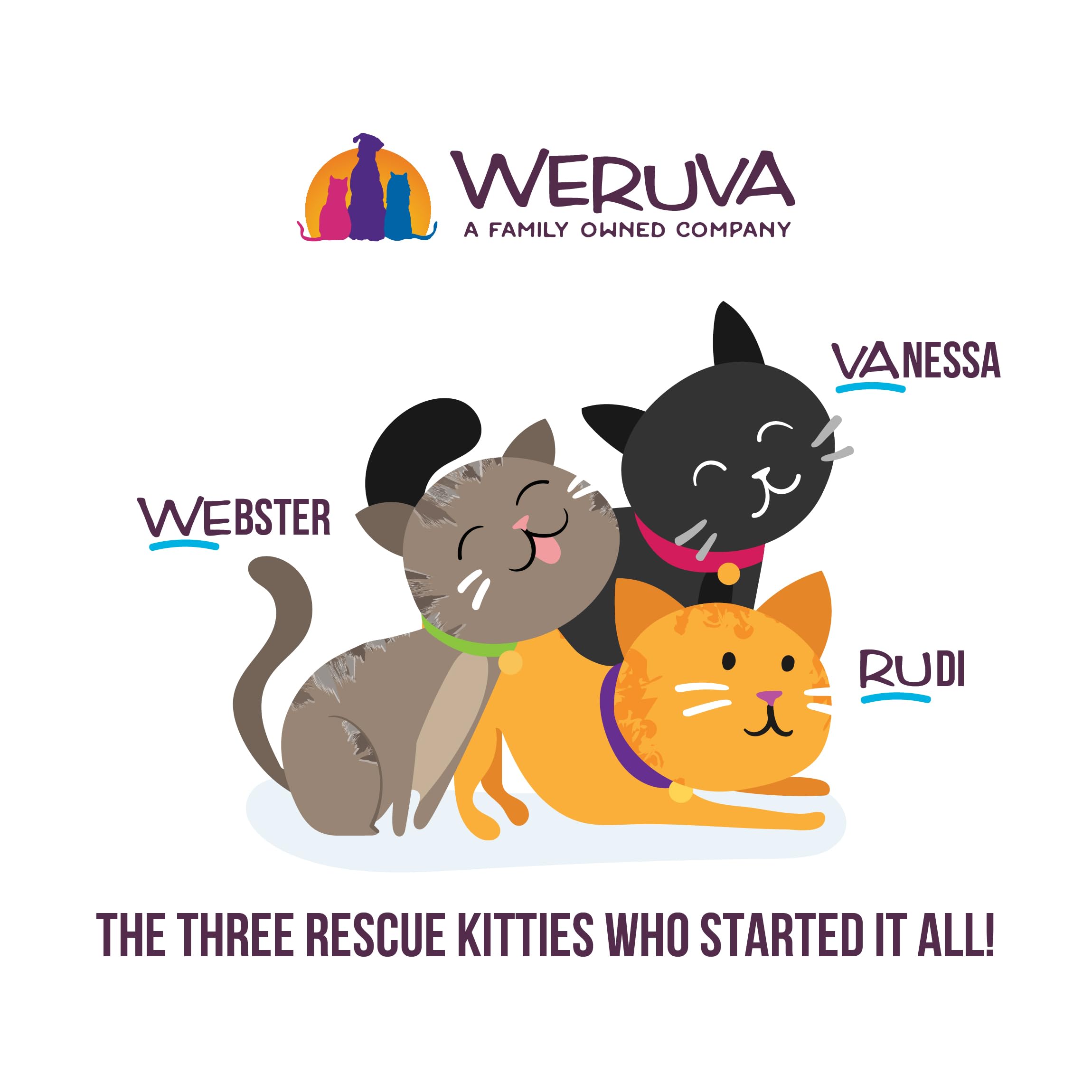 Weruva Kitten, Fur Baby Favorites Variety Pack, 3oz Can (Pack of 12)