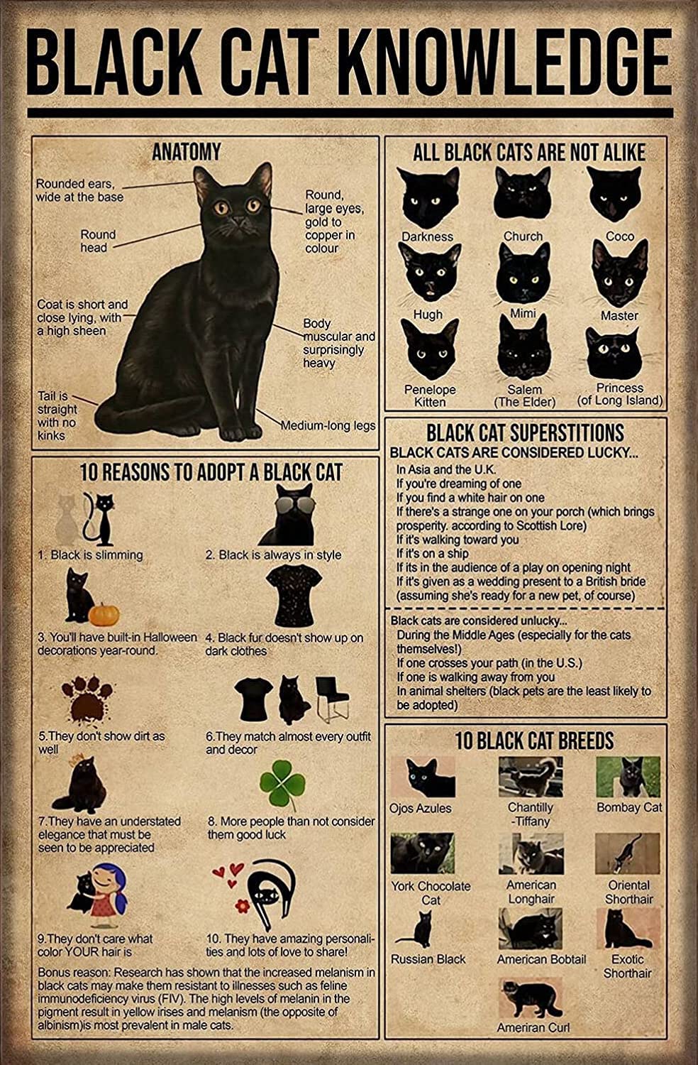 CHENJUAN Black Cat Knowledge Tin Sign Black Cat Kitchen Decor Poster Cat Smoke Bar Bathroom Bar Garden Home Outdoor Wall Decoration 12x8 Inch Poster Metal Tin Signs, multi