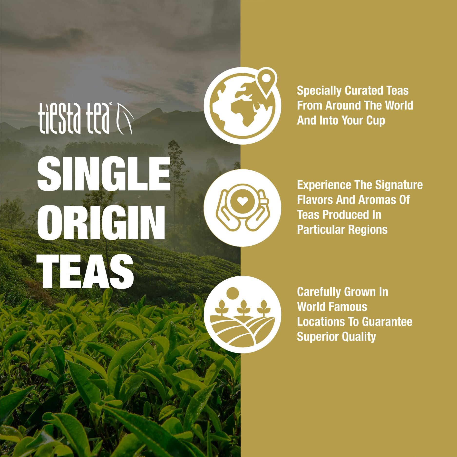 Tiesta Tea - First Flush Darjeeling Black Tea | Loose Leaf | Single Origin Premium Black Tea from India | Pure High-Caffeinated Blend | Makes Hot or Iced & Up to 50 Cups | 4oz Refillable Tin