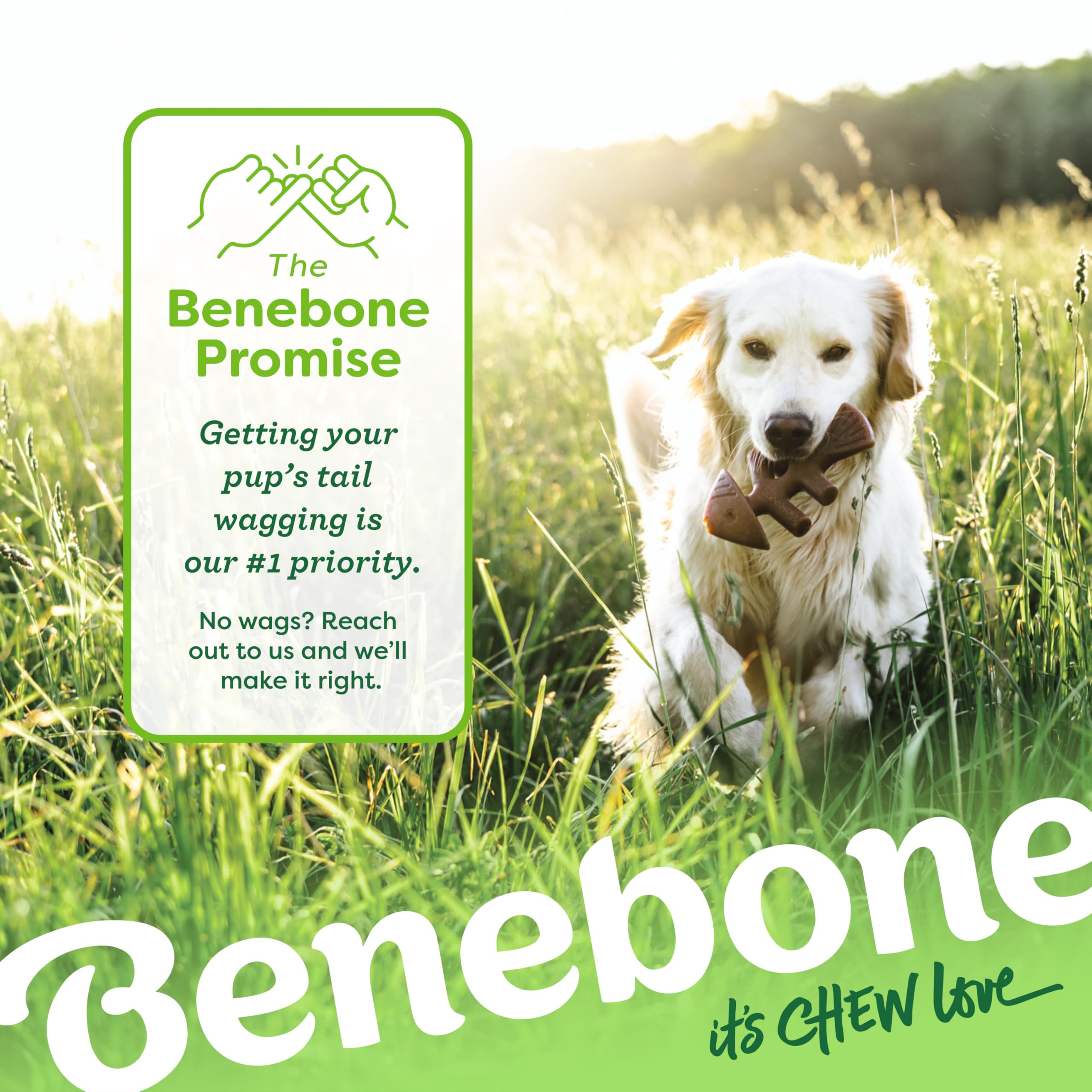 Benebone Fishbone Durable Dog Chew Toy for Aggressive Chewers, Real Fish, Made in USA, Large