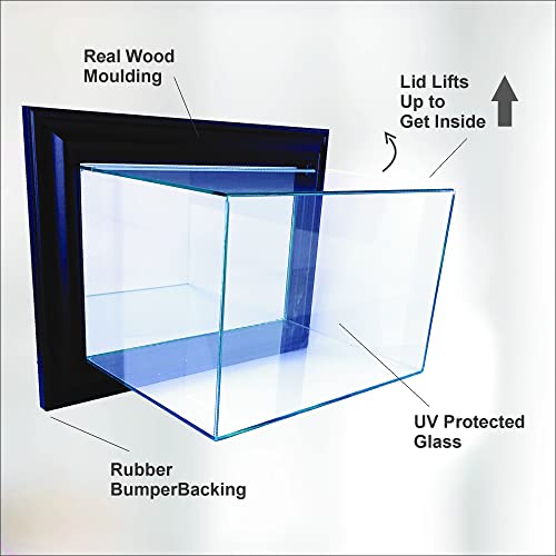 Perfect Cases Wall Mounted Football Display with UV Protected Glass and Real Wood Moulding (Black)