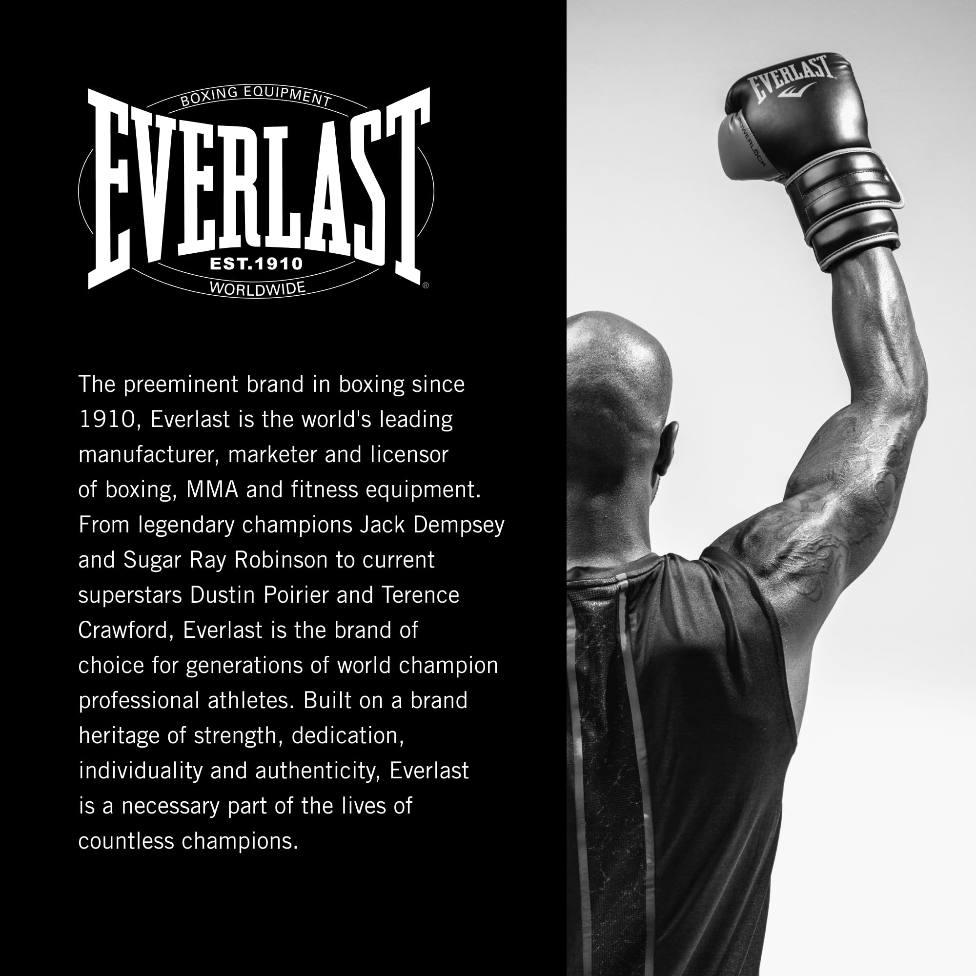 Everlast Speedbag - Boxing Training Swivel Speed Bag (Mounting not Included)