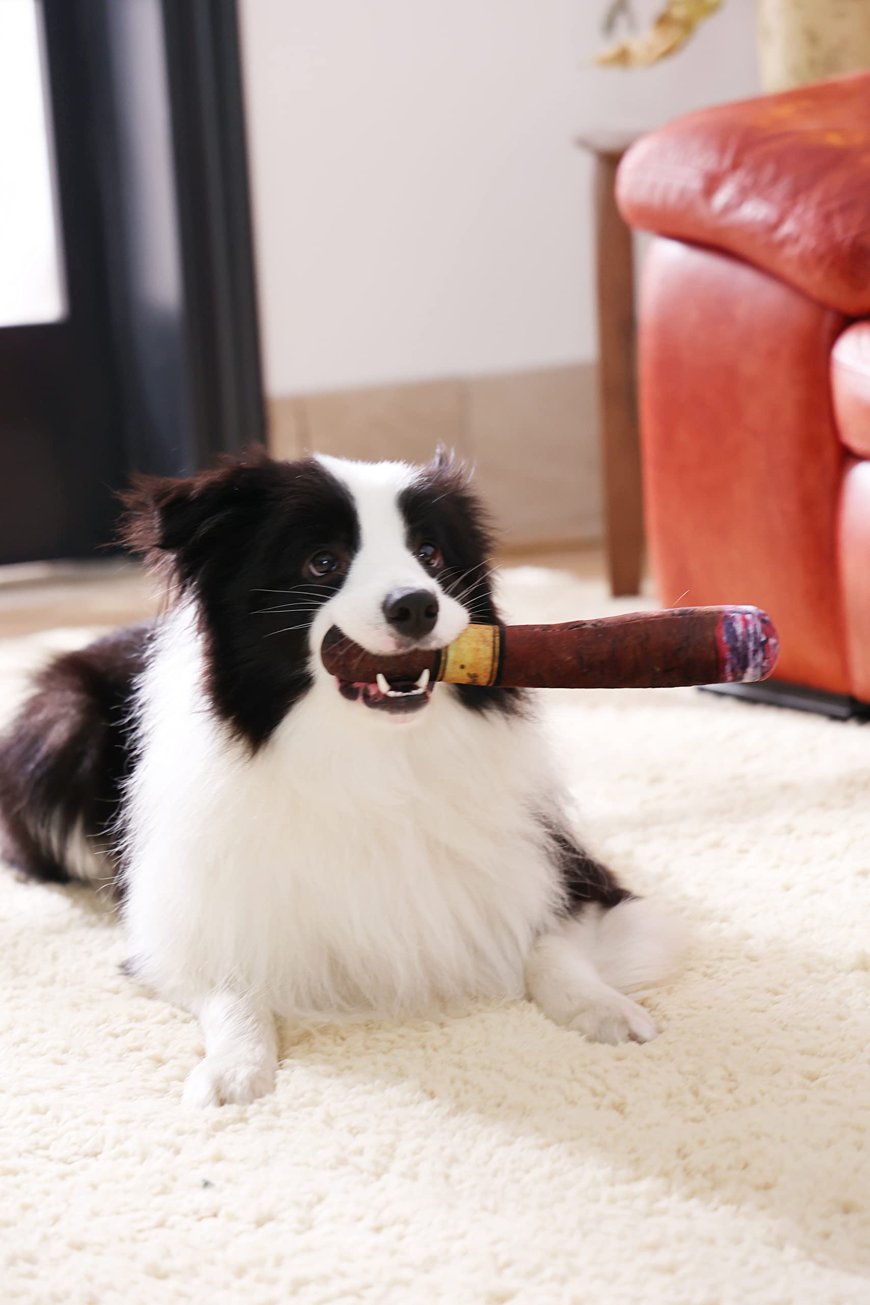 Tamu style Funny Dog Toy with Interactive Squeaky Sound and Plush Cotton Filled Softness for Small, Medium, and Large Puppies and Dogs, Fun Novelty Play