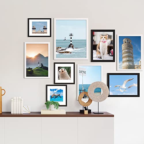 DABLUE 16x20 Picture Frame White Solid Wood Frame 16 by 20 Poster Frame for Horizontal and Vertical Wall Mounting,3 Pack 20x16 Photo Frame
