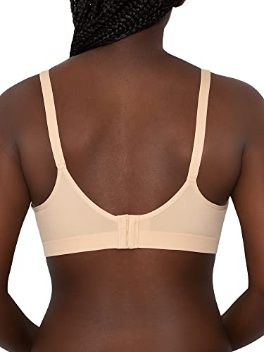 Fruit of the Loom Women's Seamless Wire Free Push-Up Bra, Black Hue/in The Buff 2-Pack, 38B