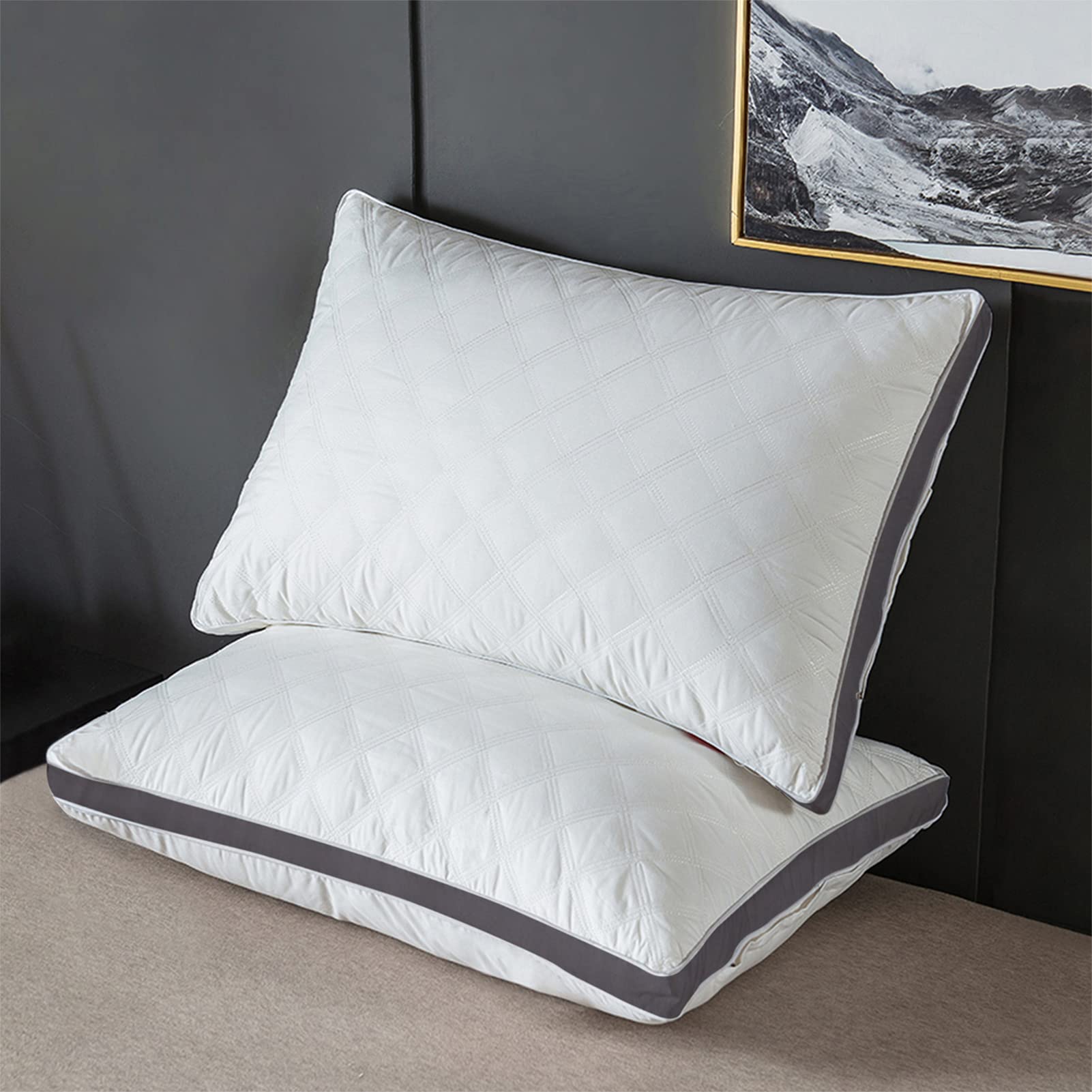 XCJC Sleep Bed Pillows 2 Pack: Comfort Luxury Standard Hotel Soft Pillows with Adjustable Fluffy Microfiber Filling Stuffing Washable Pillowcase for Back Stomach Side Sleepers - Size 20 x 26 Inches