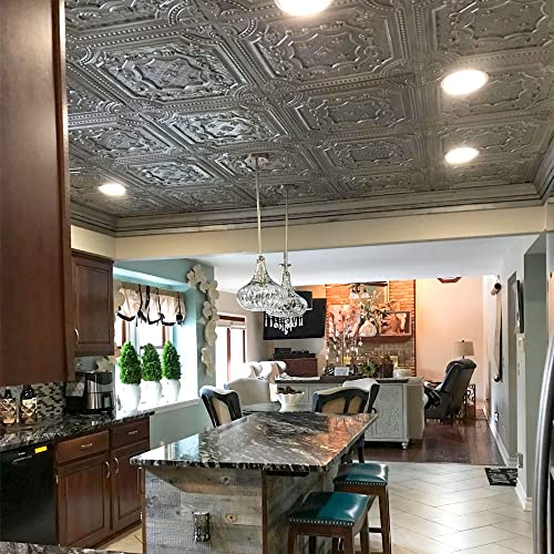 From Plain To Beautiful In Hours DCT04 Elizabethan Shield PVC 2' x 2' Lay-in or Glue-up Ceiling Tile (Covers / 40 sq.ft), Antique White, 10 Piece